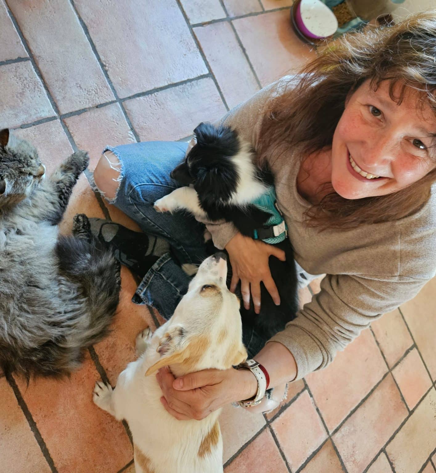 Caroline Bloch - Animals cocoon